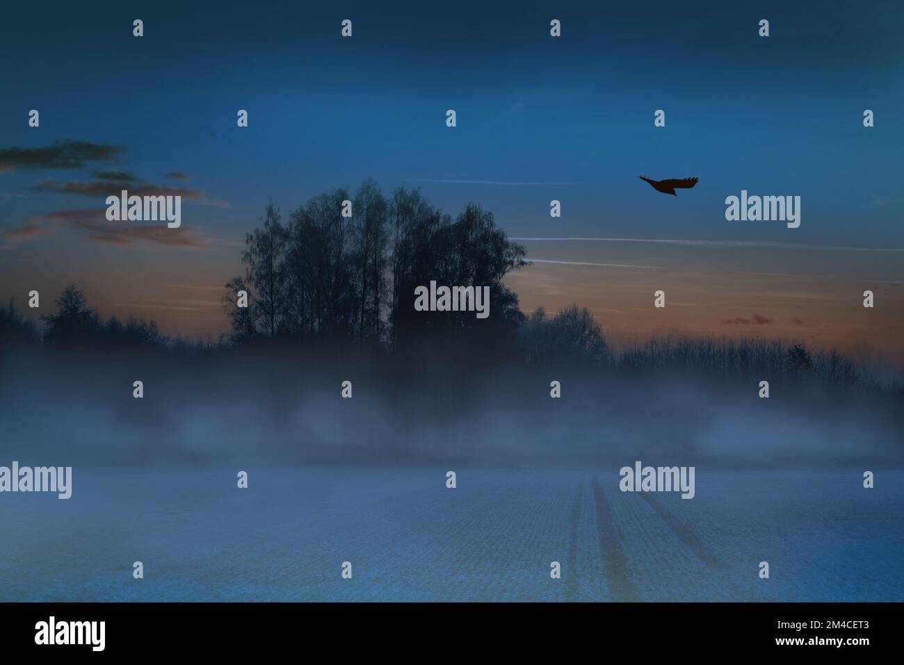 Lipperbruch hi-res stock photography and images - Alamy