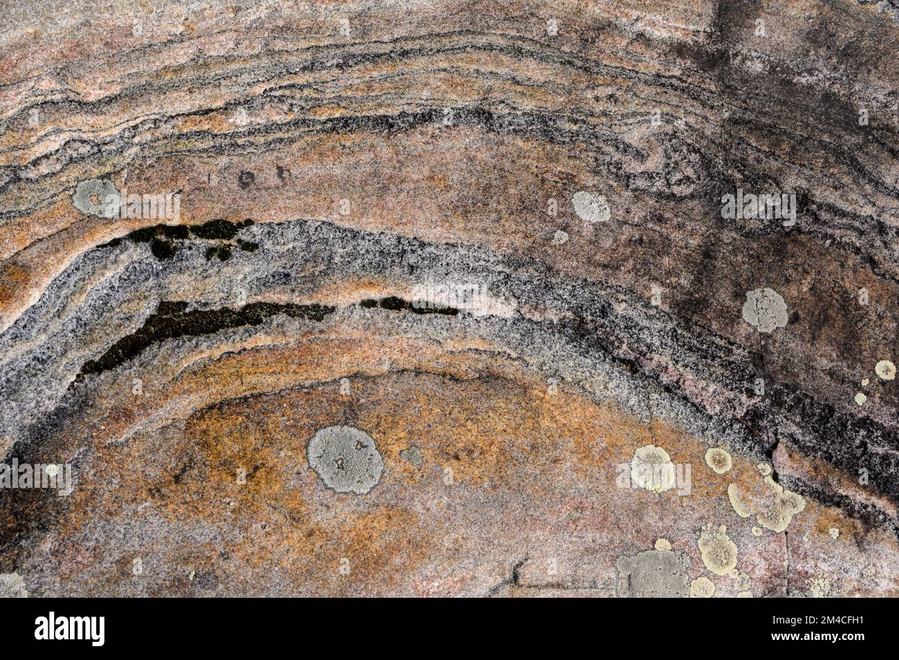 Shoreline granite outcrops, igneous dykes, lichen at Katherine Cove ...