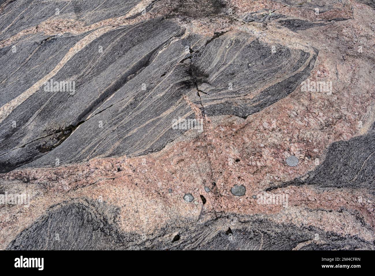 Shoreline granite outcrops, igneous dykes, lichen at Katherine Cove ...