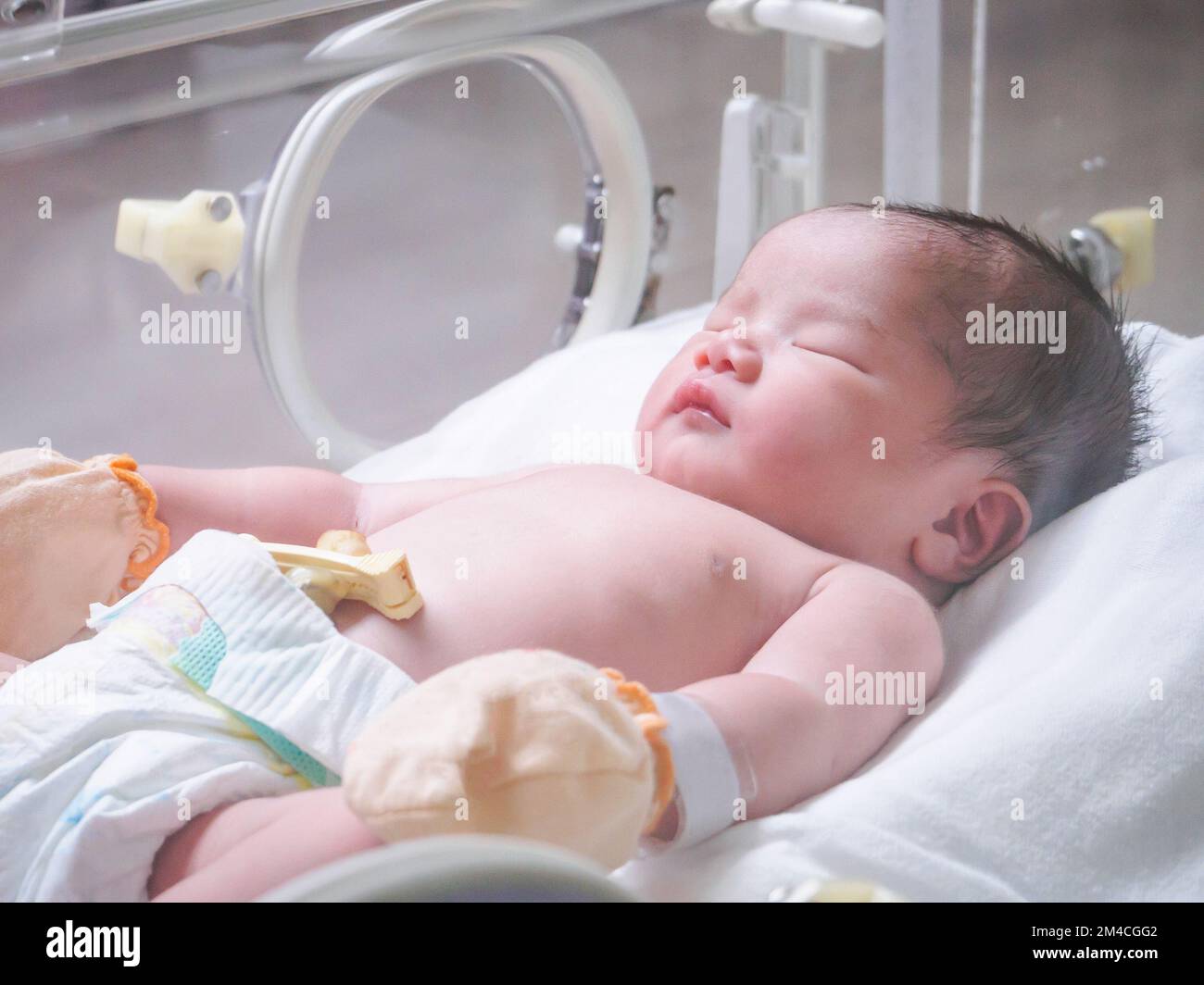 Newborn baby girl inside incubator in hospital post delivery room Stock ...