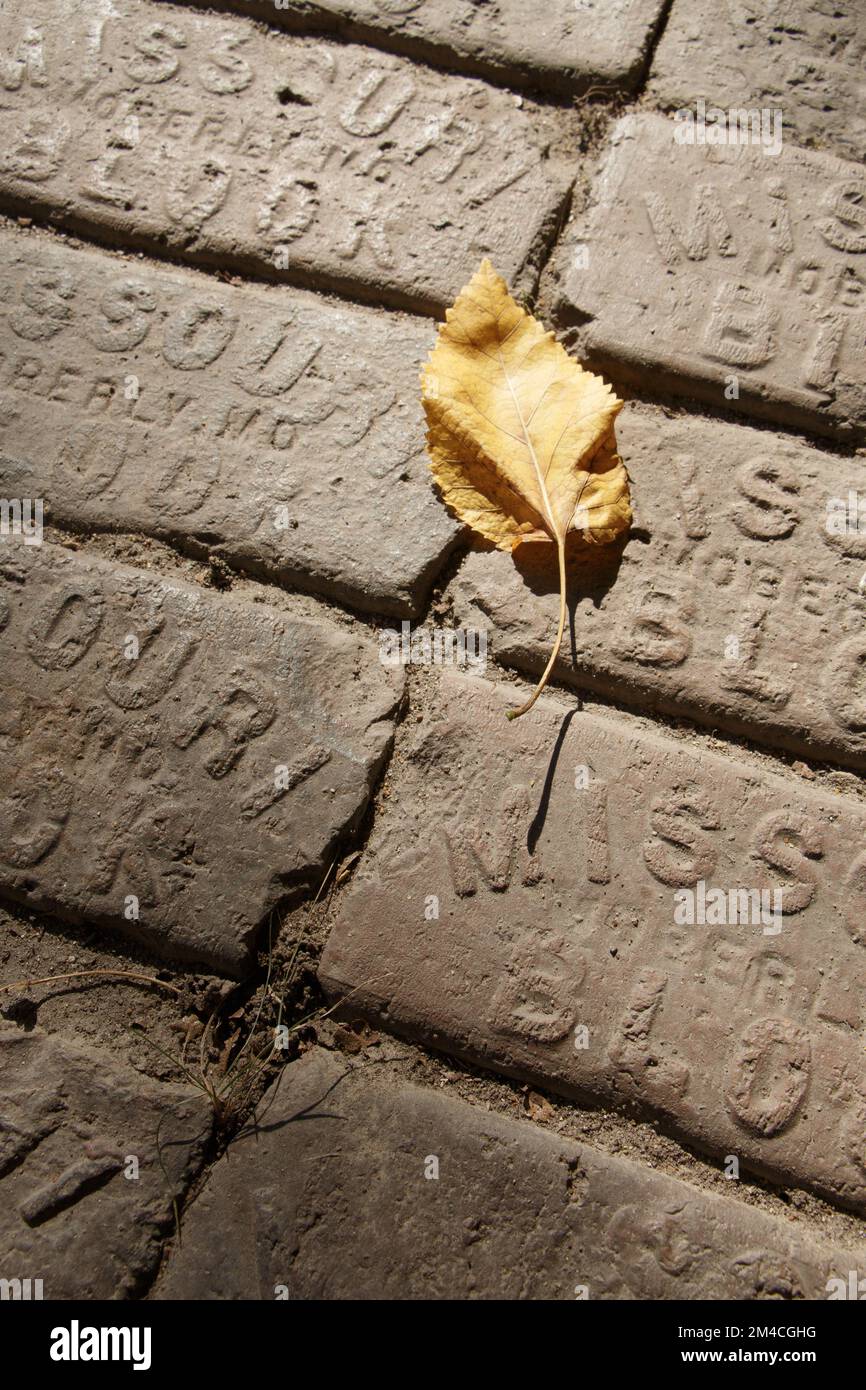 Brick pavers hi-res stock photography and images - Alamy