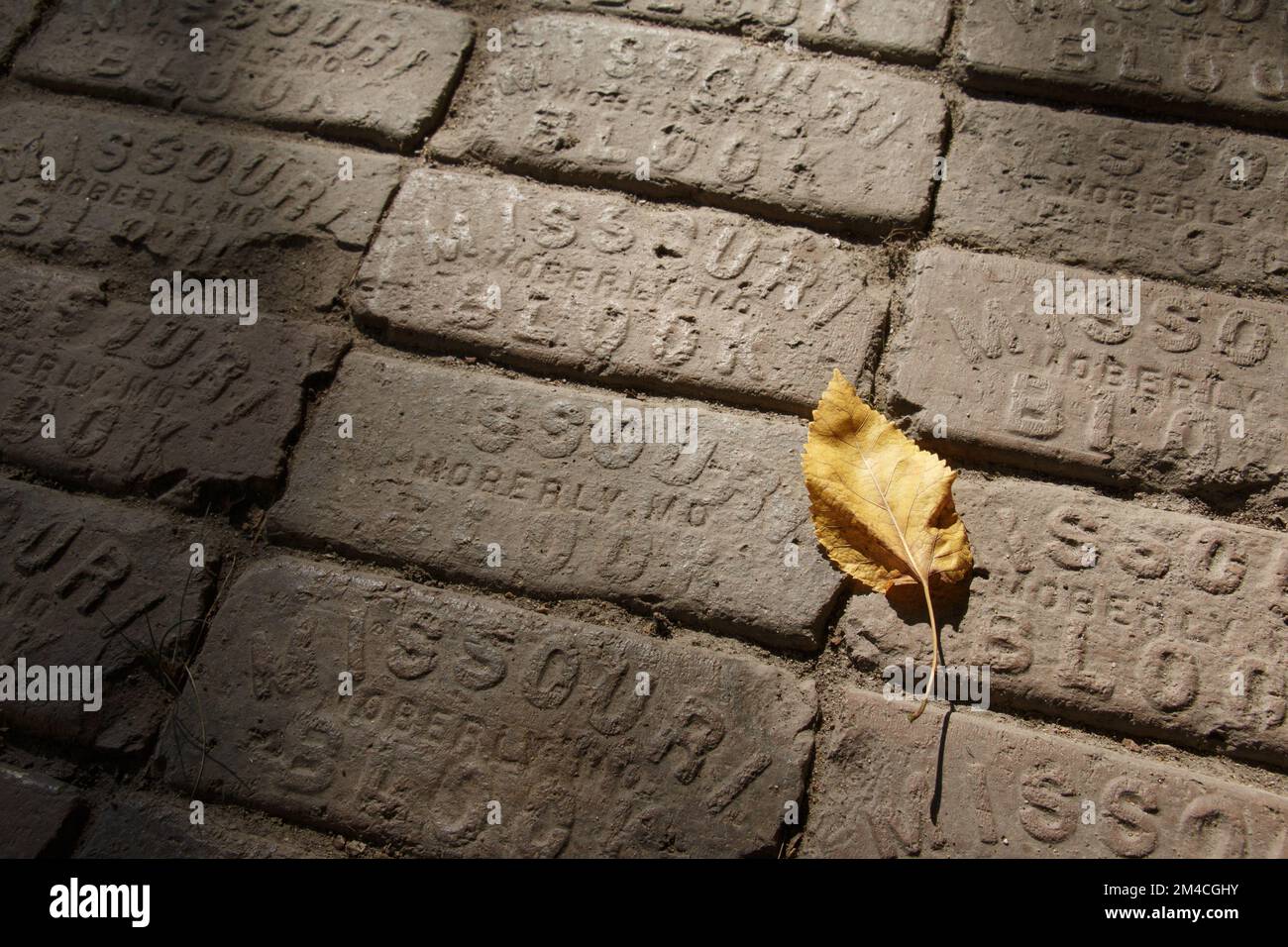 Single autumn leaf on brick pavers. Horizontal format Stock Photo - Alamy