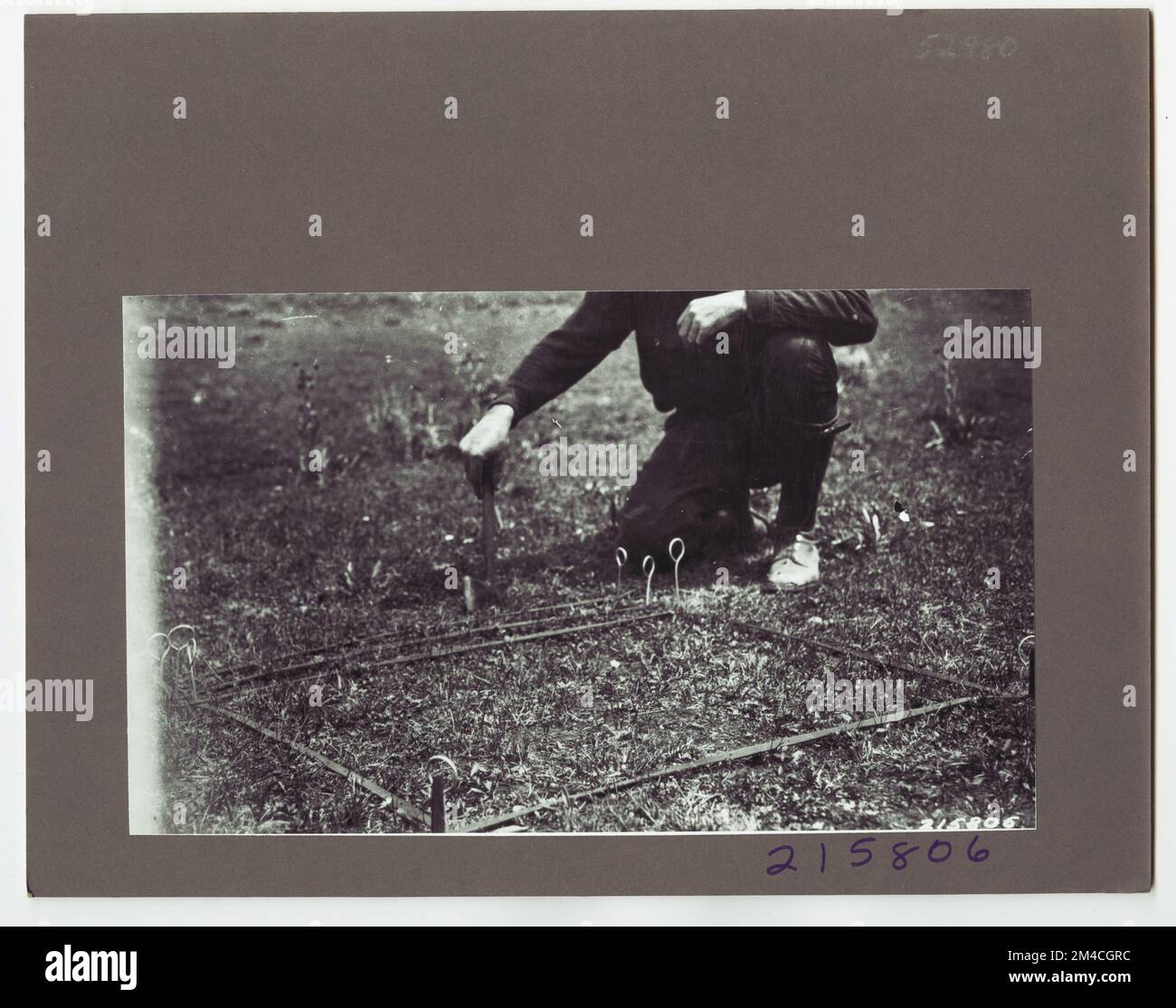Insect Control - All States. Photographs Relating to National Forests ...