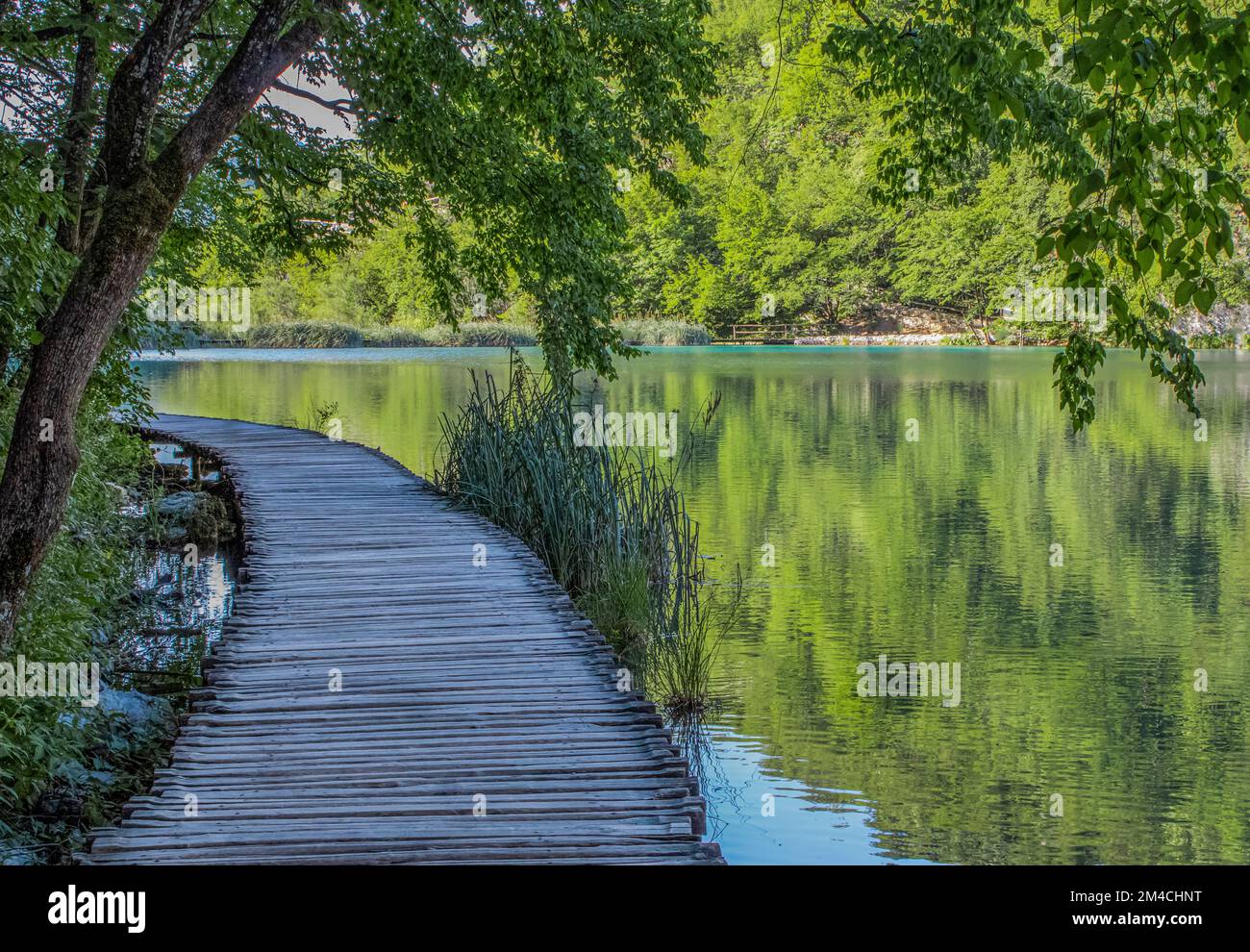Croatia ,The lakes of Plitvice Stock Photo - Alamy