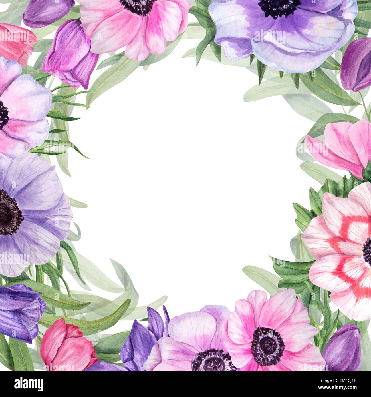 Watercolor anemones isolated on white background. For postcard design ...