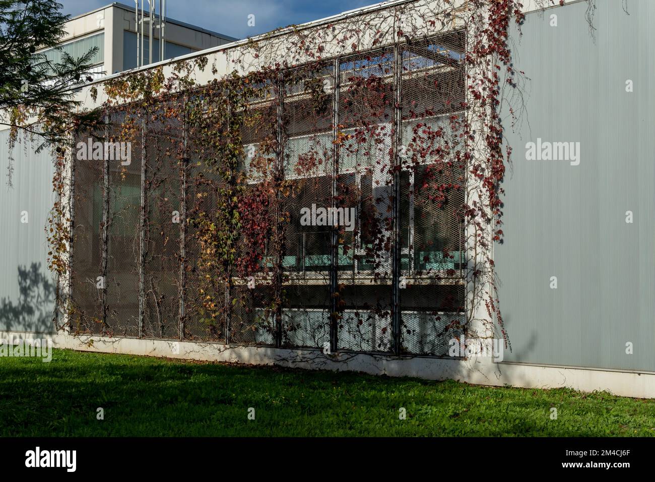Palma de Mallorca, Spain; december 15 2022: Main facade of the Doctoral ...