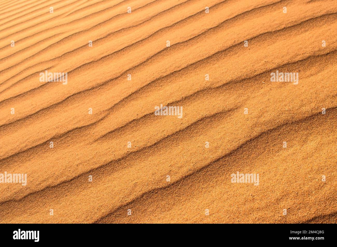 Rippled sand in the Namib desert Stock Photo - Alamy