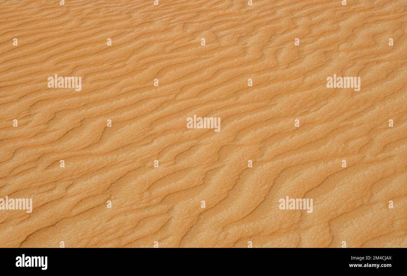 Smooth sand rippled in the Namib desert Stock Photo - Alamy