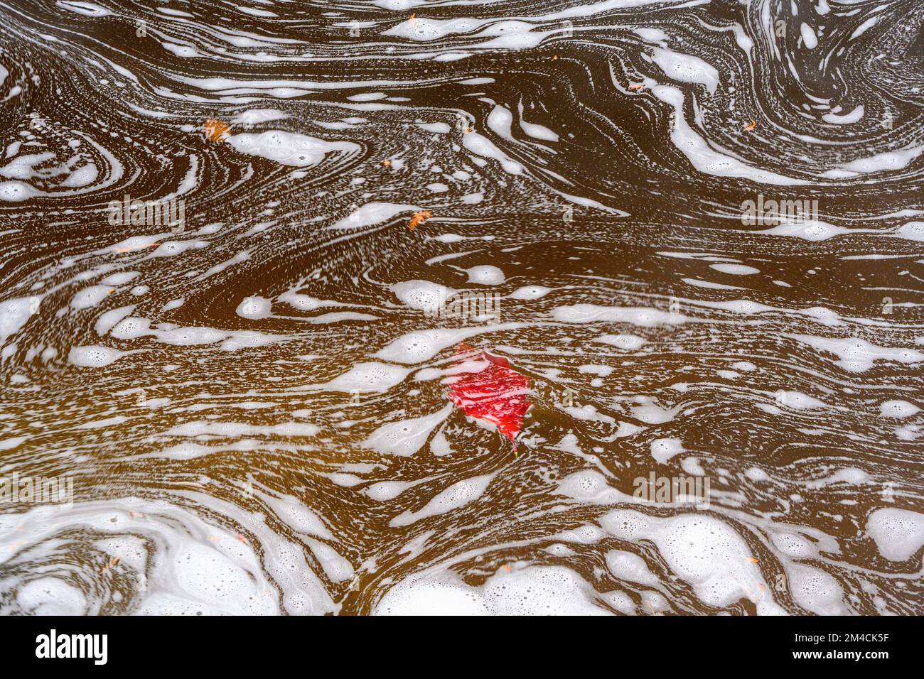Foam patterns on the Chippewa River, Batchawana Bay, Ontario, Canada ...