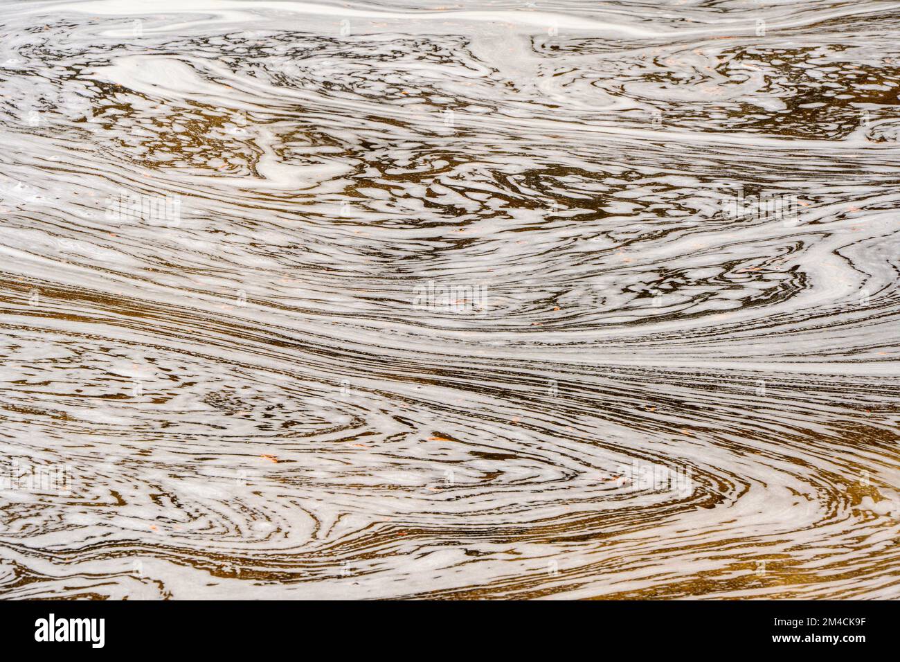 Foam patterns on the Chippewa River, Batchawana Bay, Ontario, Canada ...