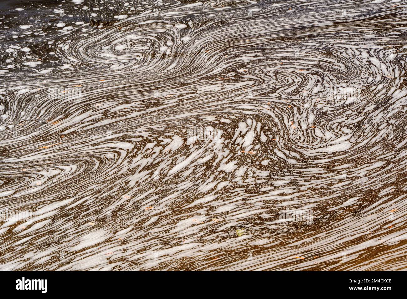 Foam patterns on the Chippewa River, Batchawana Bay, Ontario, Canada ...