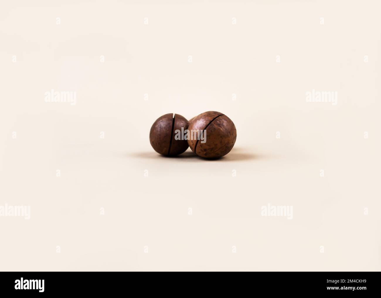 Two Macadamia Nuts on beige background with soft shadow. The concept of ...