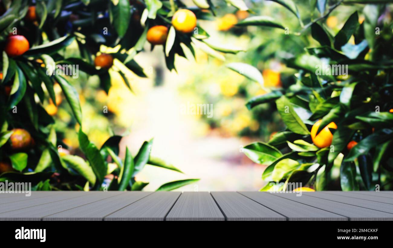 empty wooden table in front of orange tree farm 3d illustration, empty ...