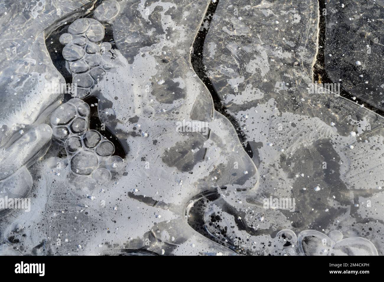 Ice patterns beaver pond hi-res stock photography and images - Alamy
