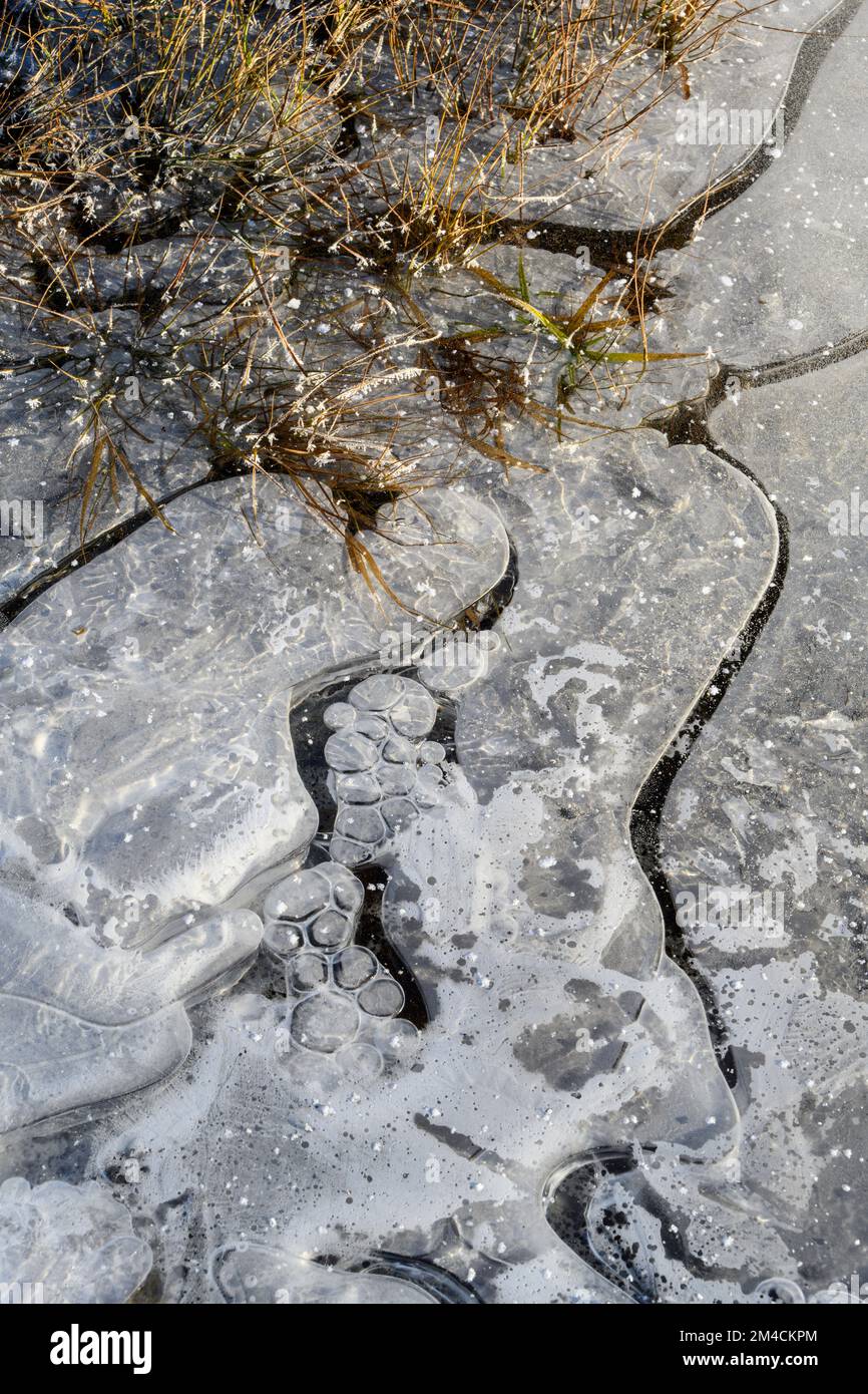 Ice patterns in a beaver pond at freeze-up, Greater Sudbury, Ontario ...