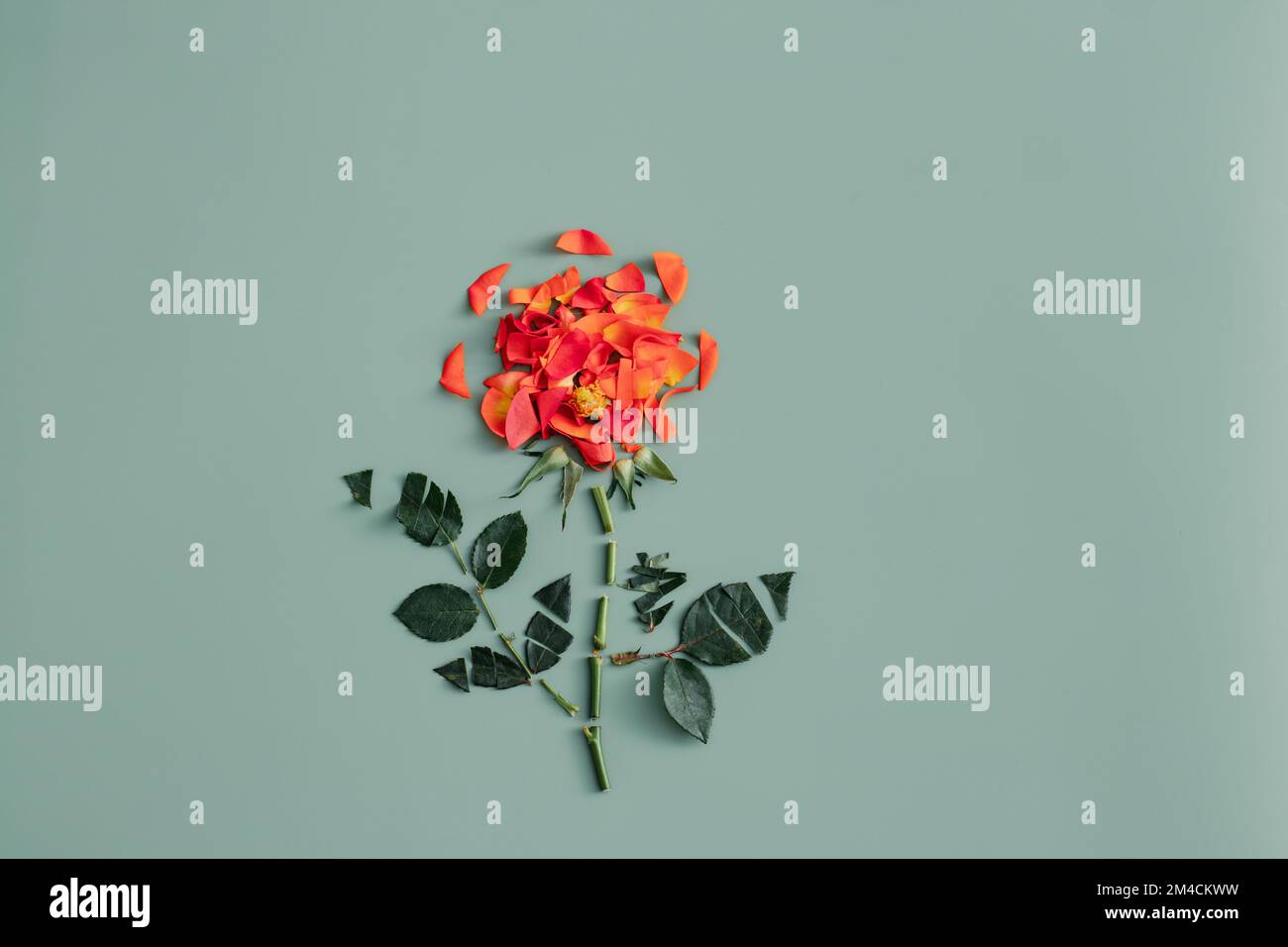 Bright book cover design hi-res stock photography and images - Alamy