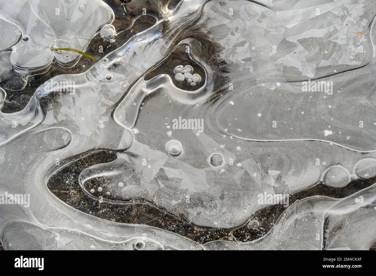 Ice patterns in a beaver pond at freeze-up, Greater Sudbury, Ontario ...