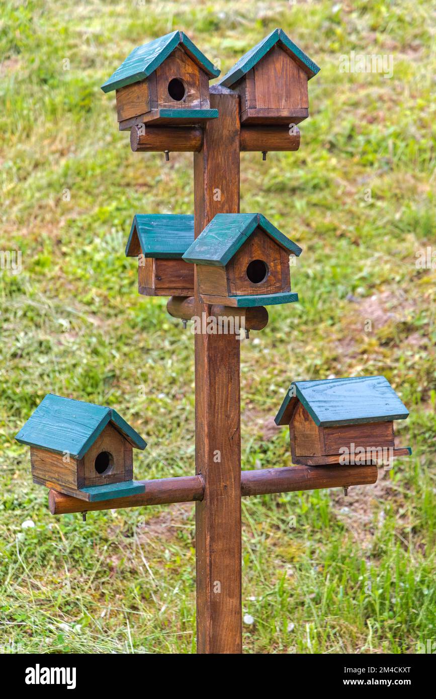 Multiple Bird Houses Together at Wooden Pole Nature Stock Photo - Alamy