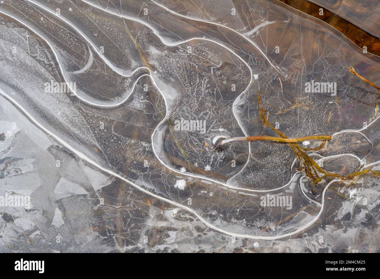 Ice patterns in a beaver pond at freeze-up, Greater Sudbury, Ontario ...