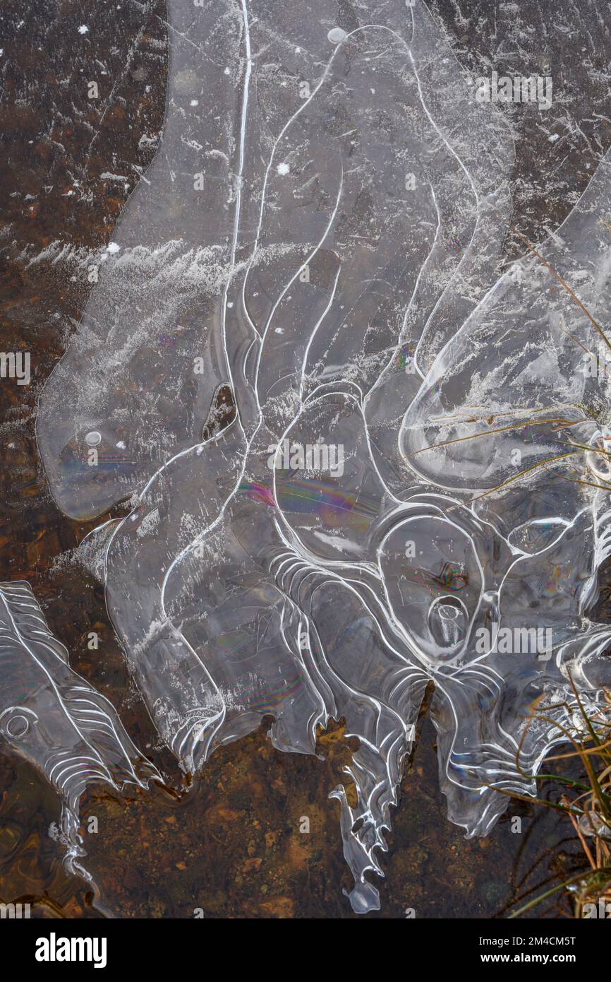 Ice patterns in a beaver pond at freeze-up, Greater Sudbury, Ontario ...