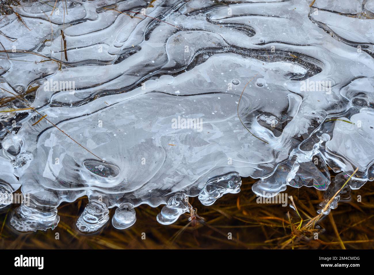 Ice patterns in a beaver pond at freeze-up, Greater Sudbury, Ontario ...