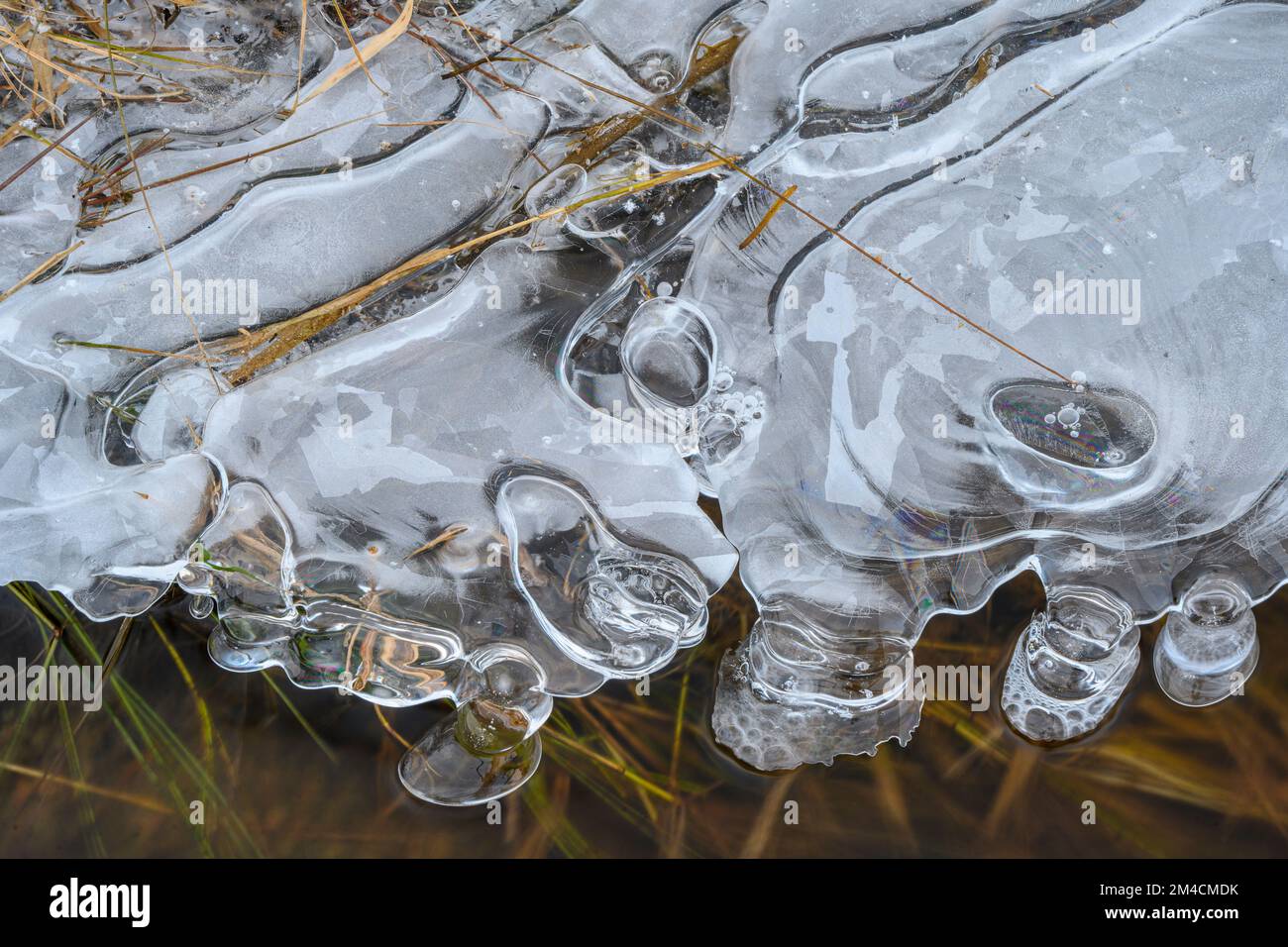 Ice patterns beaver pond hi-res stock photography and images - Alamy