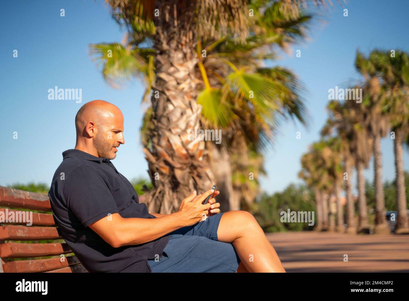 Bald man talking and using his smartphone in a tropical country Stock ...