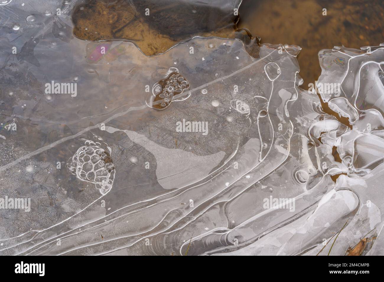 Ice patterns beaver pond hi-res stock photography and images - Alamy