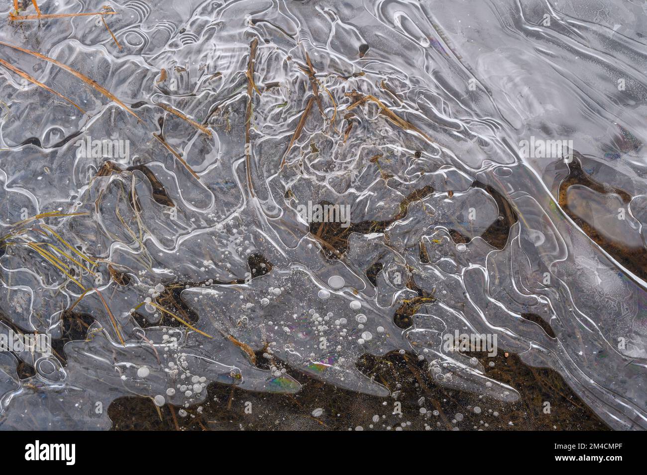 Ice patterns in a beaver pond at freeze-up, Greater Sudbury, Ontario ...
