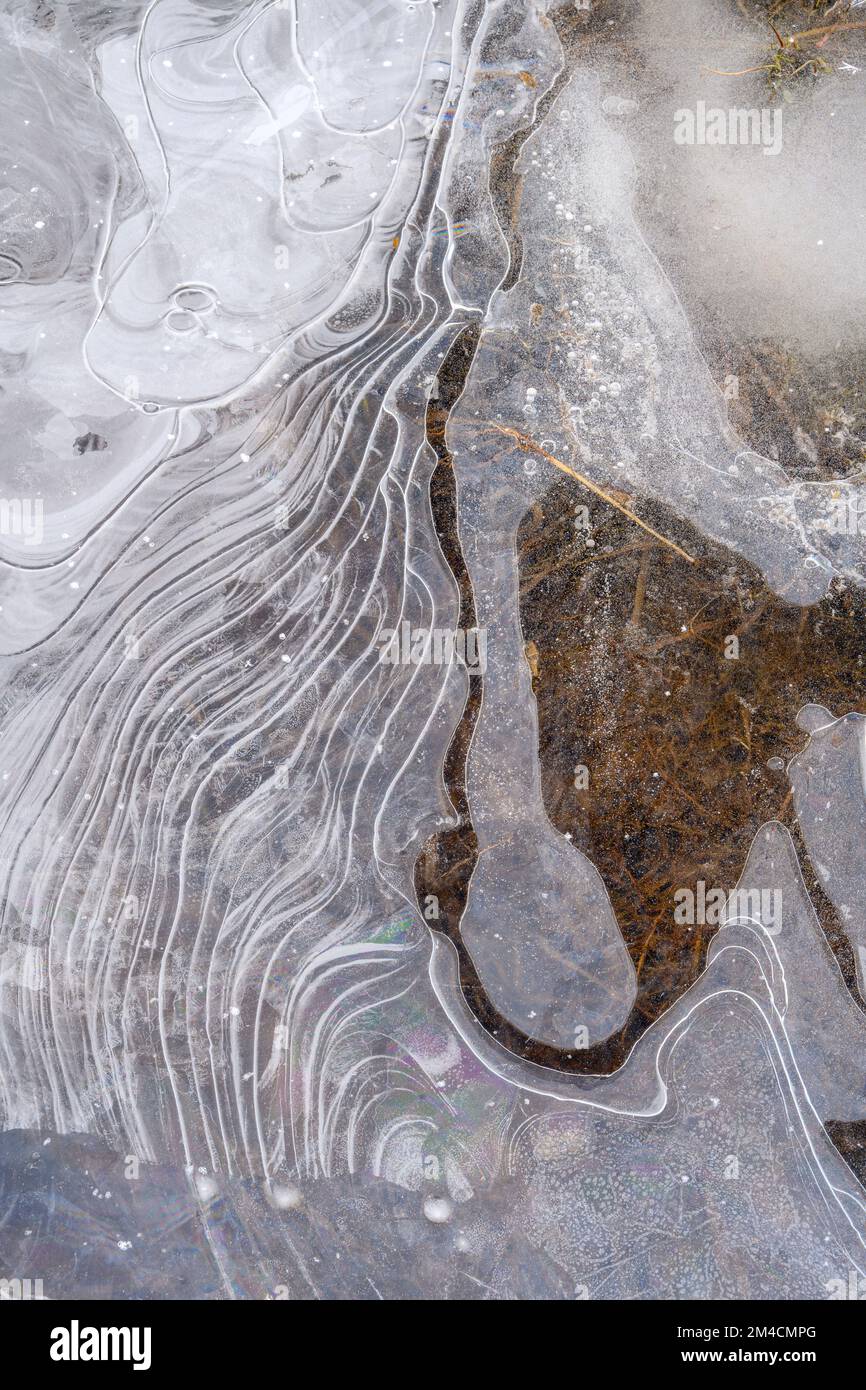 Ice patterns in a beaver pond at freeze-up, Greater Sudbury, Ontario ...