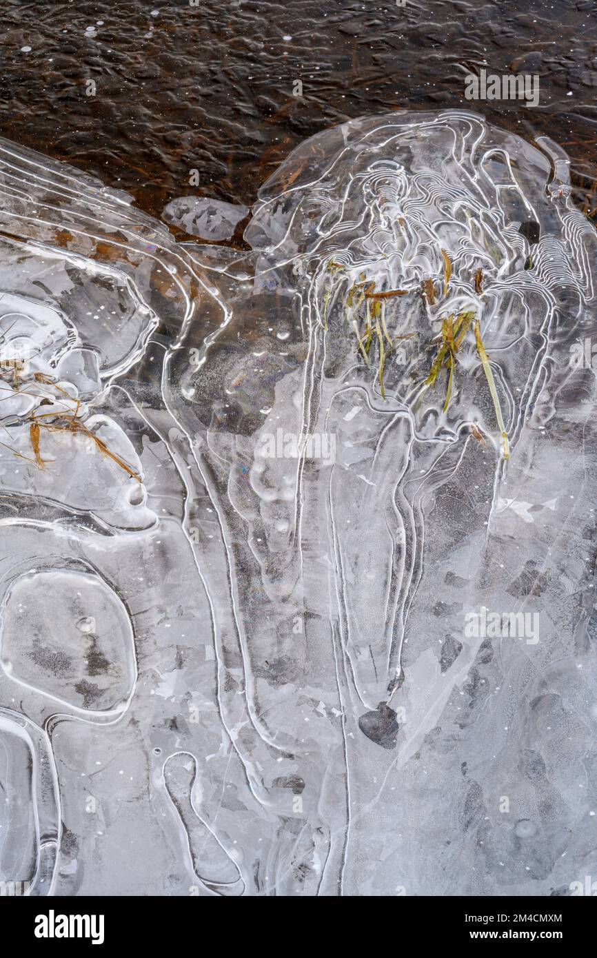 Ice patterns in a beaver pond at freeze-up, Greater Sudbury, Ontario ...