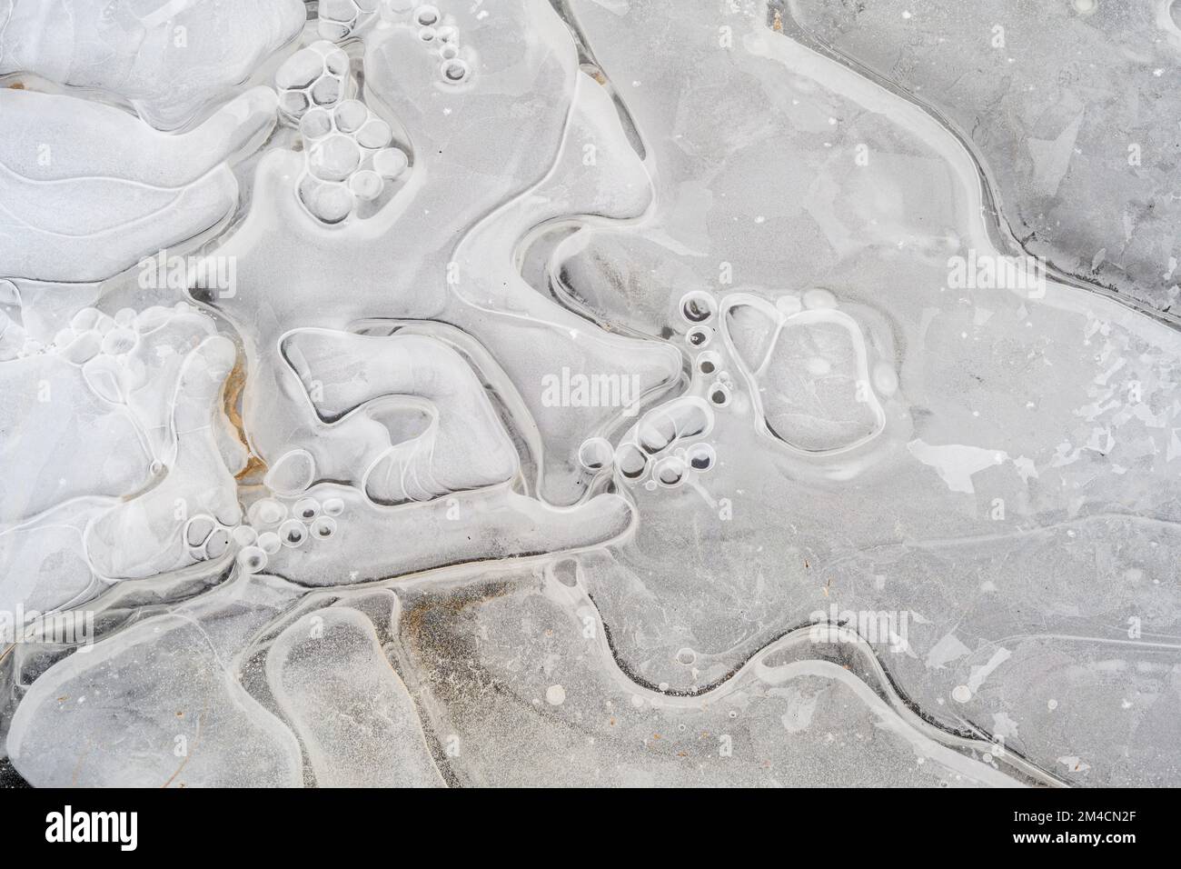 Ice patterns in a beaver pond at freeze-up, Greater Sudbury, Ontario ...