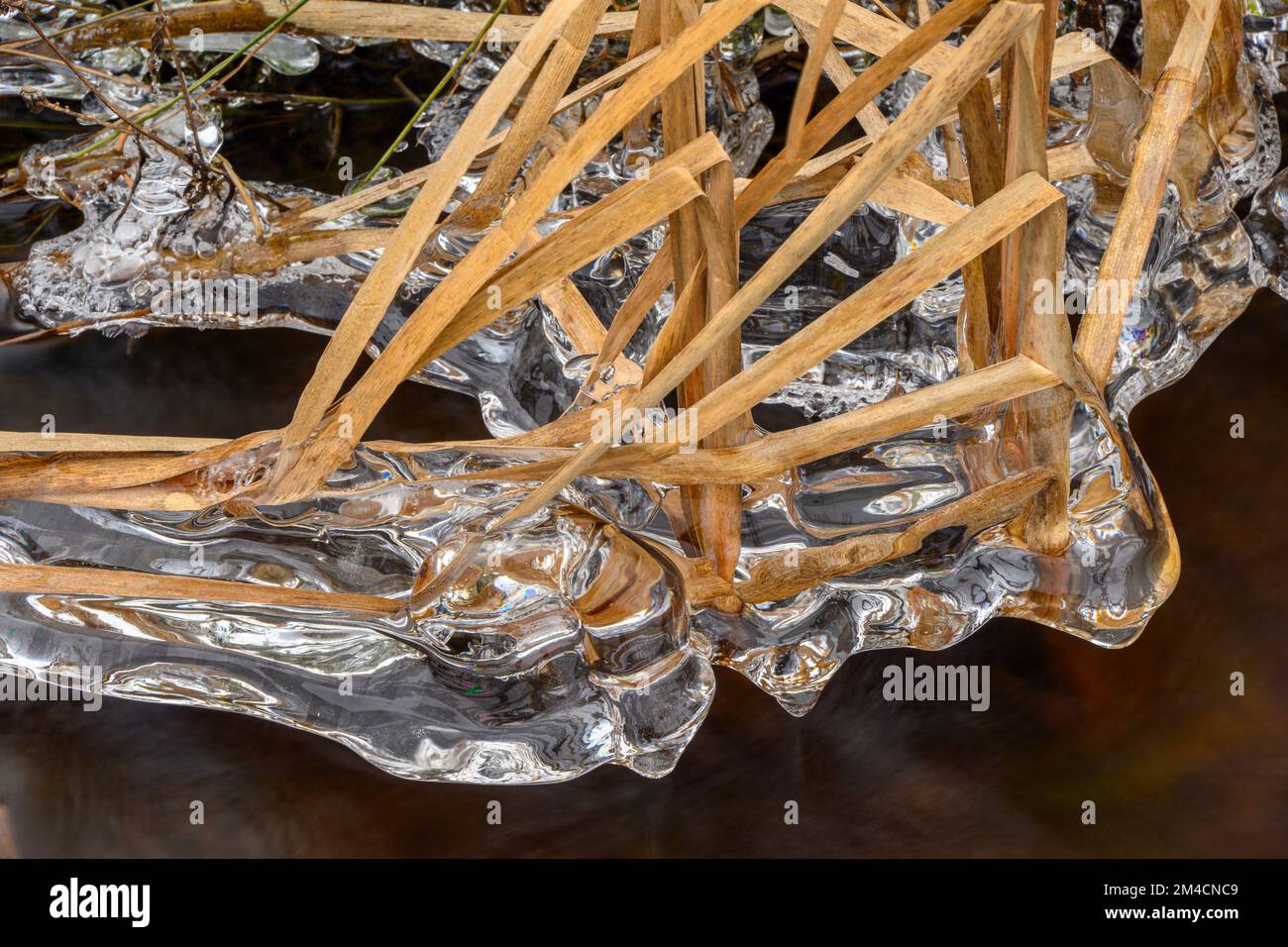 Ice patterns beaver pond hi-res stock photography and images - Alamy