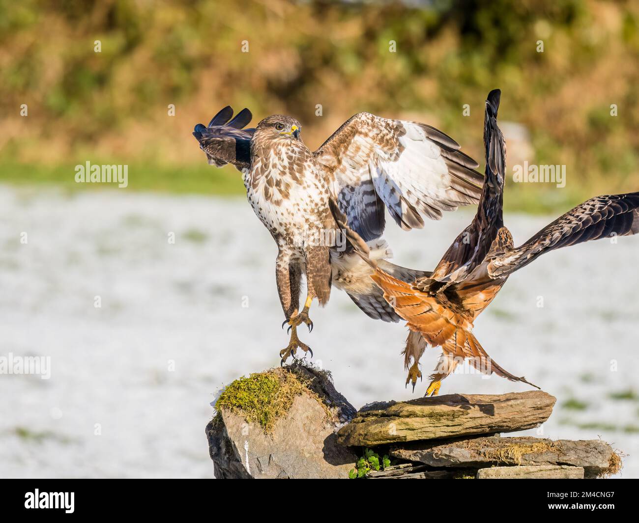 Aberystwyth, Ceredigion, Wales, UK. 14th December 2022. Winter in mid ...