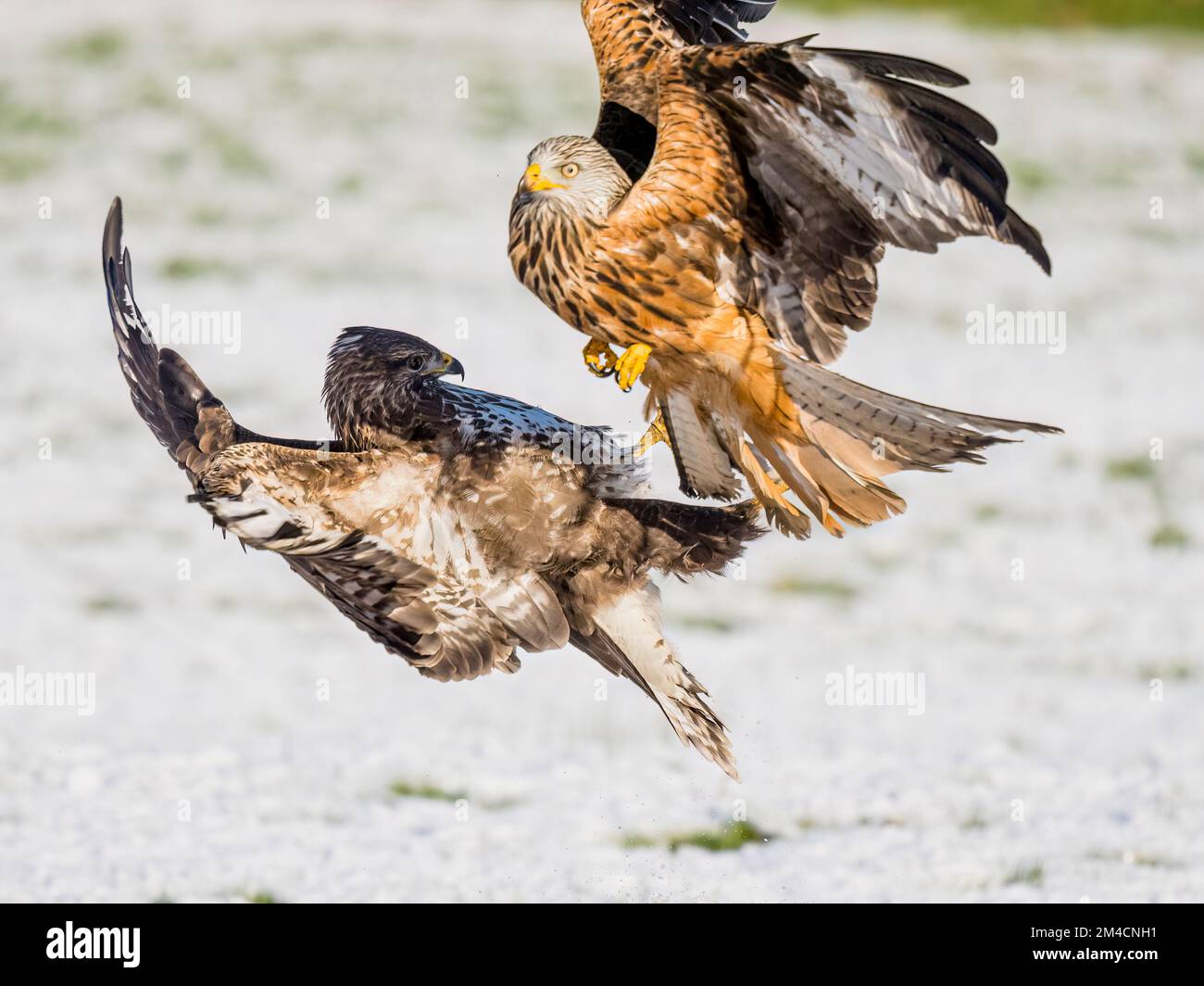 2022 mid terms hi-res stock photography and images - Alamy