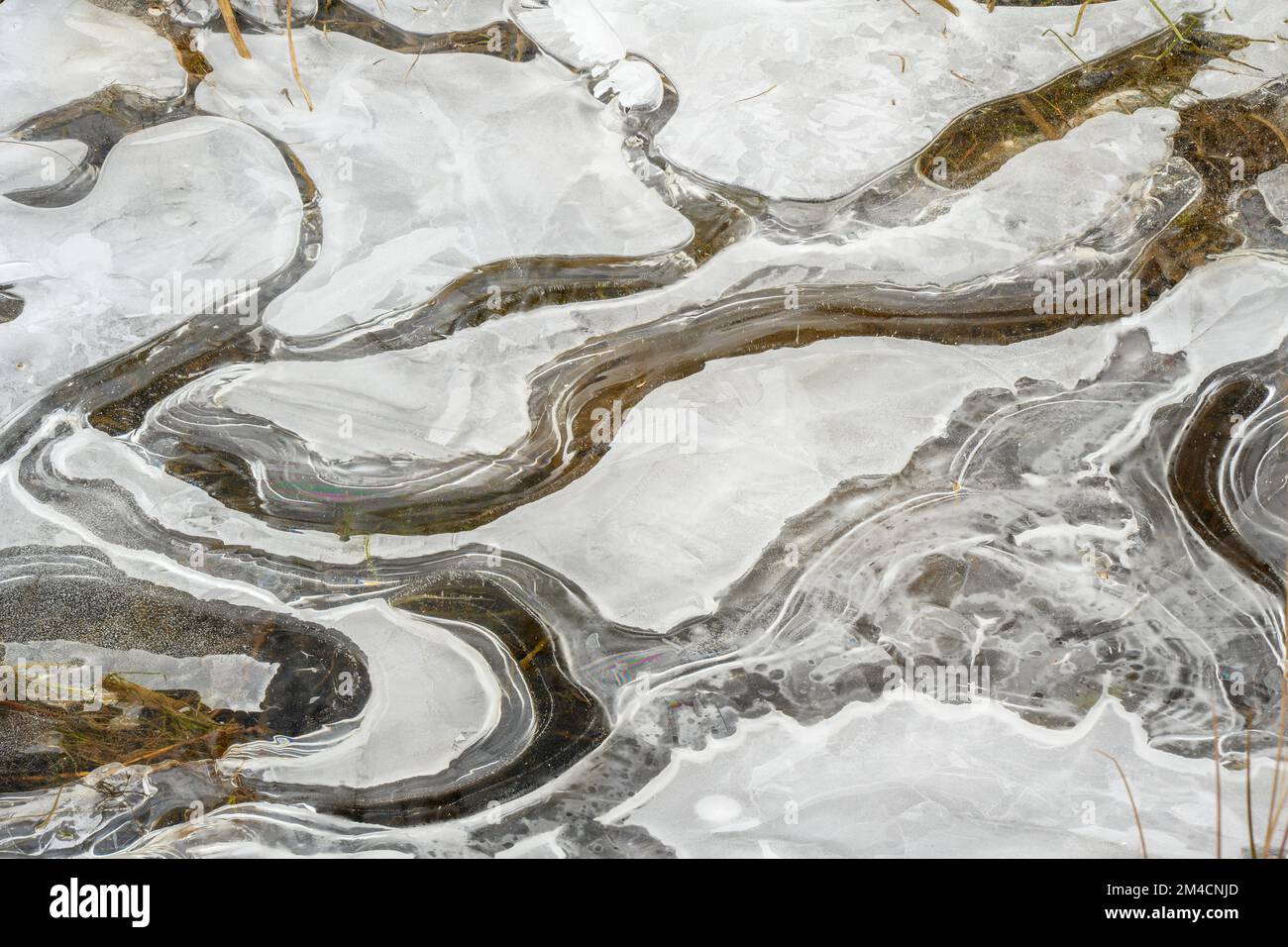 Ice patterns beaver pond hi-res stock photography and images - Alamy