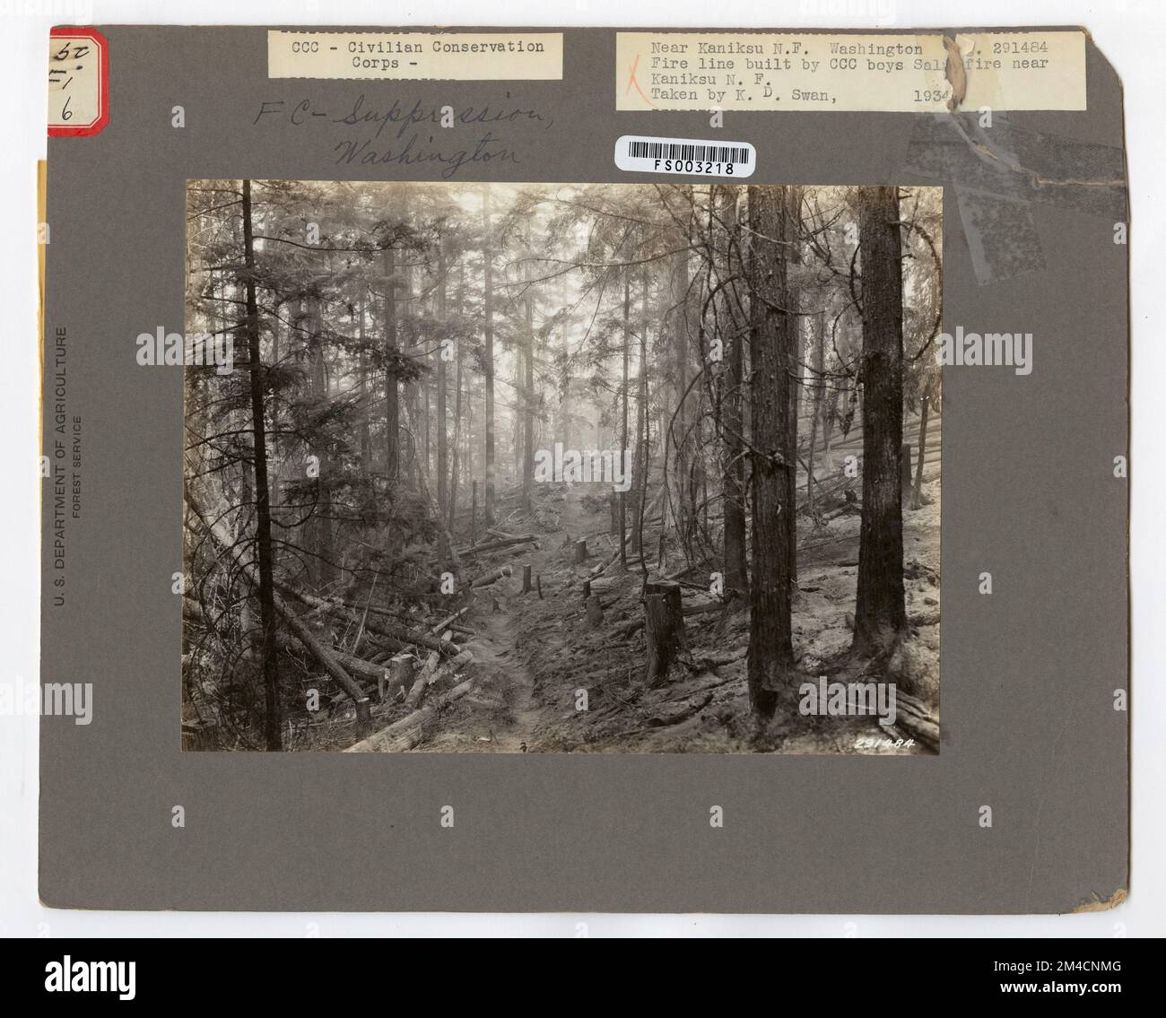 Fire Suppression: Ground Snag Falling - All States. Photographs ...