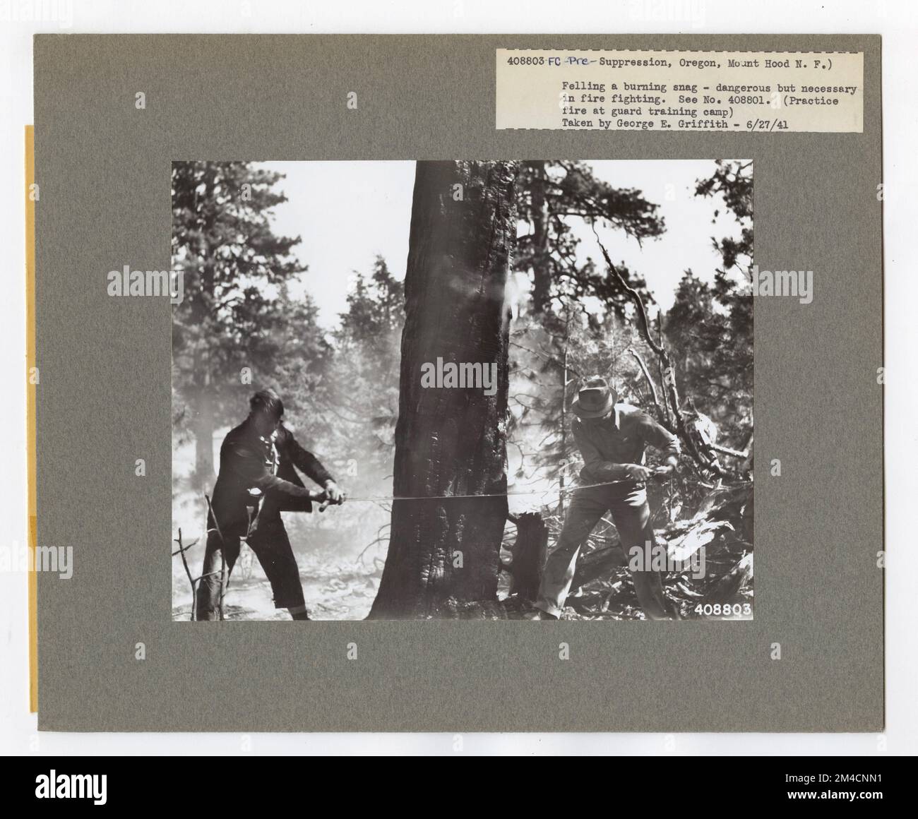 Fire Suppression: Ground Snag Falling - All States. Photographs ...