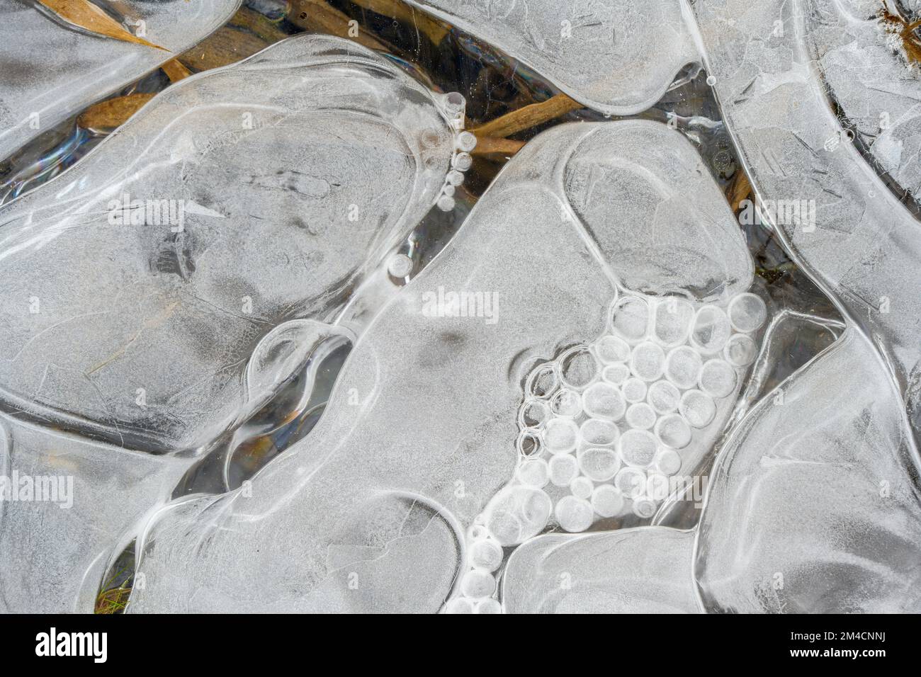 Ice patterns beaver pond hi-res stock photography and images - Alamy