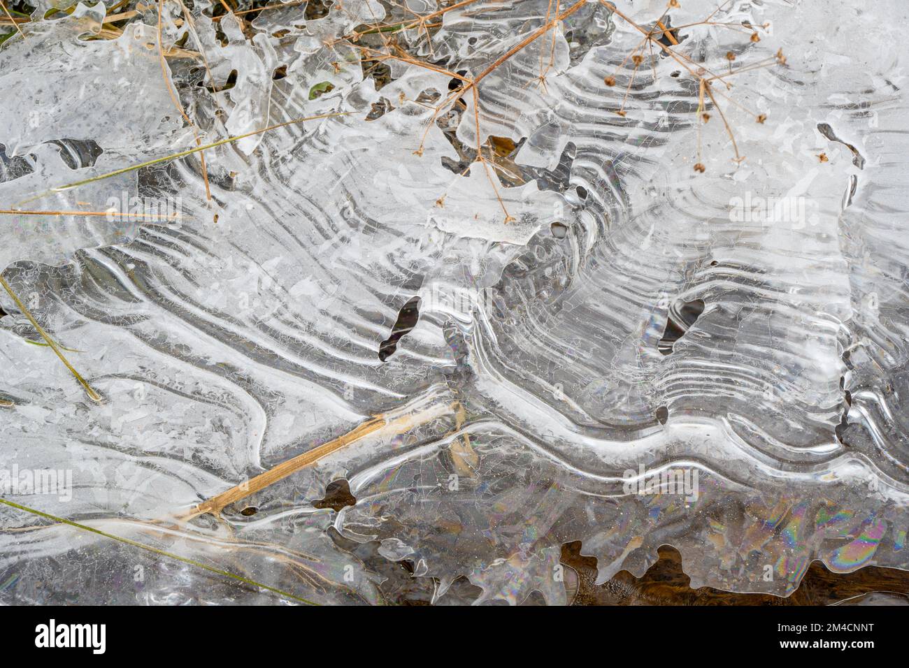 Ice patterns beaver pond hi-res stock photography and images - Alamy