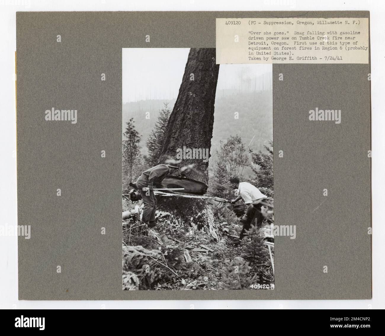 Fire Suppression: Ground Snag Falling - All States. Photographs ...