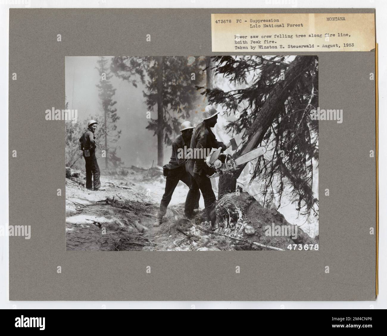 Fire Suppression: Ground Snag Falling - All States. Photographs ...