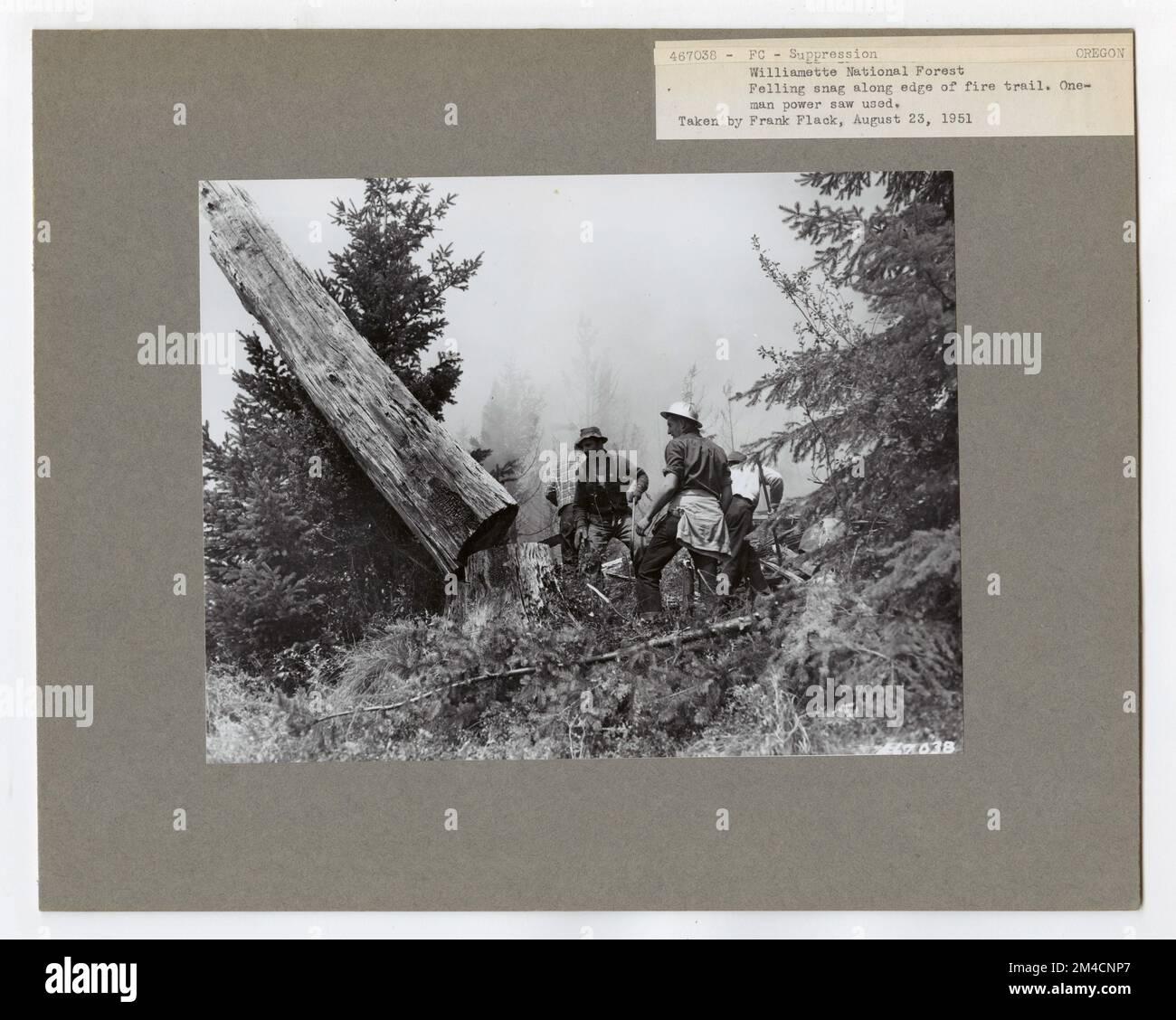 Fire Suppression: Ground Snag Falling - All States. Photographs ...