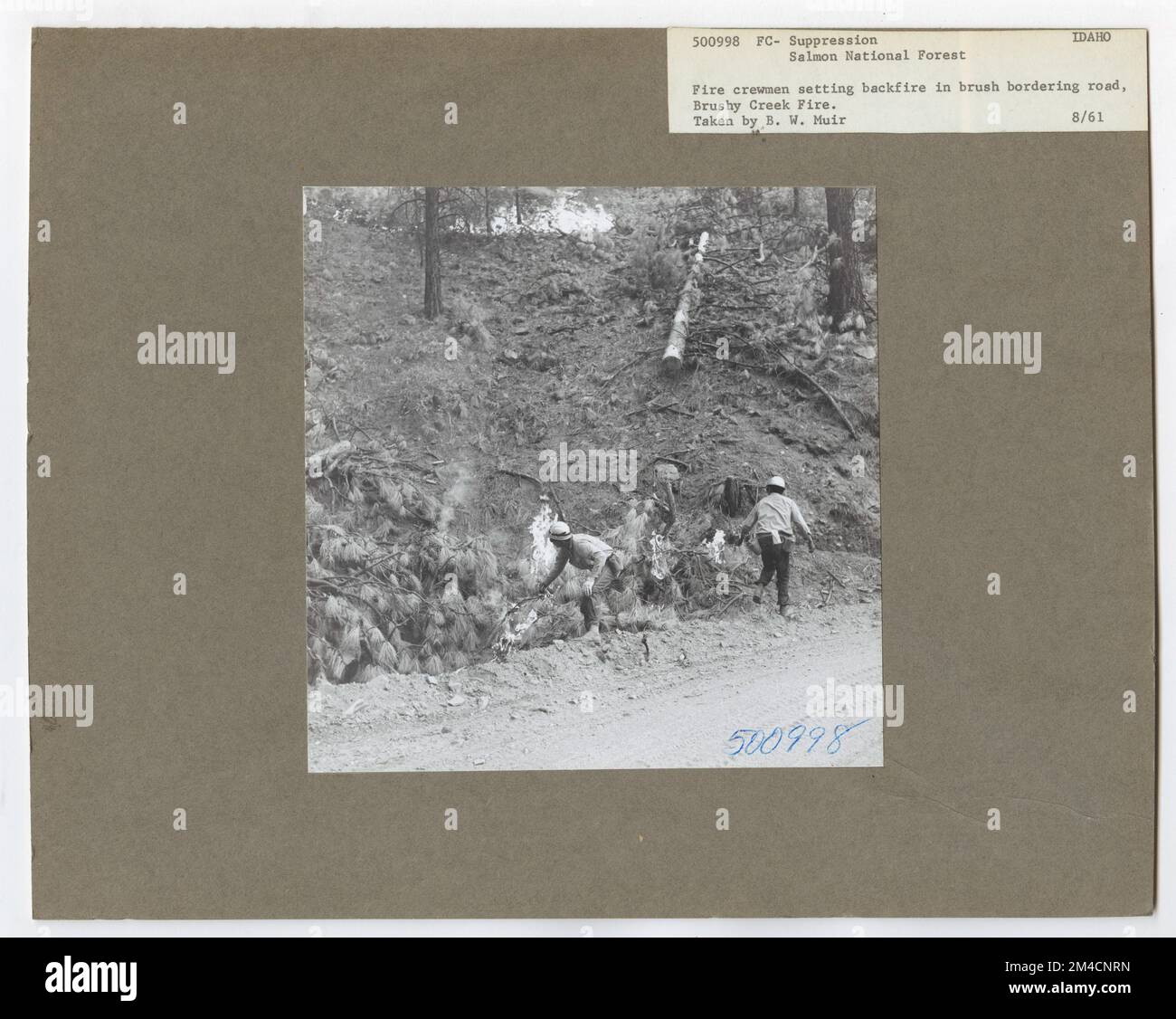 Fire Suppression: Ground Backfiring - All States. Photographs Relating ...