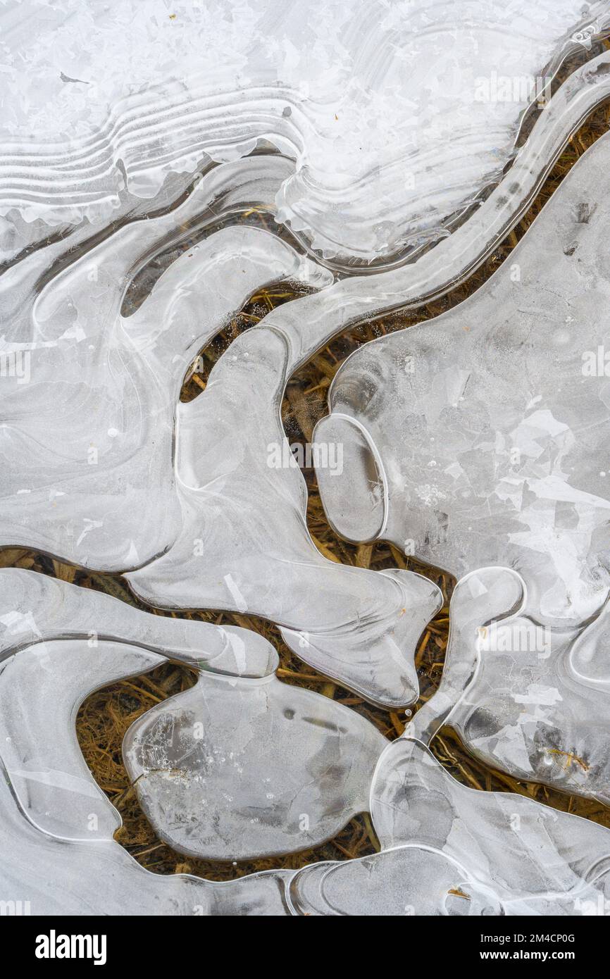 Ice patterns beaver pond hi-res stock photography and images - Alamy