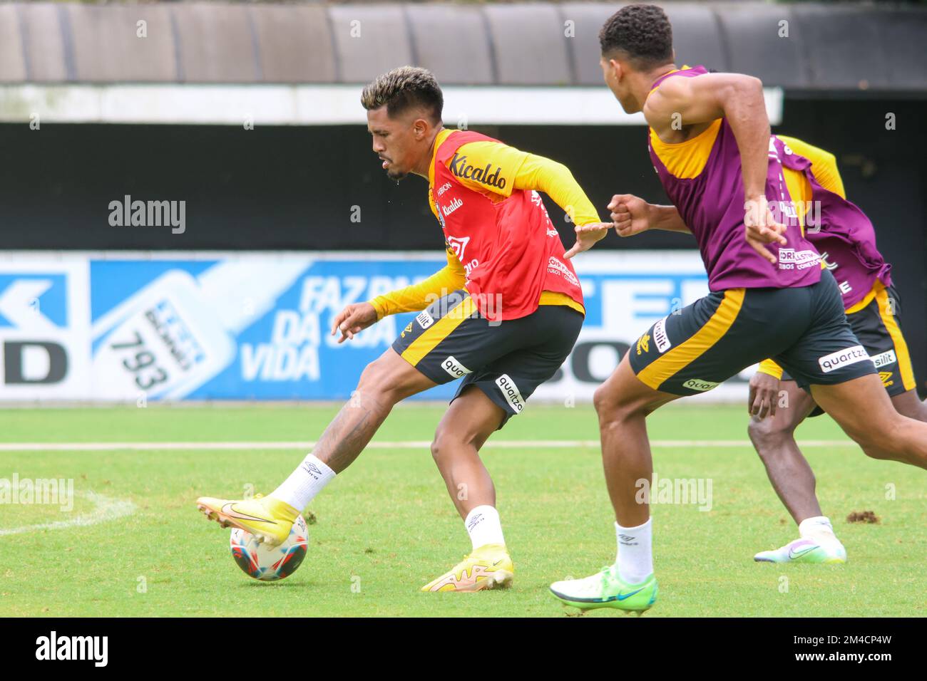 SP - Santos - 12/20/2022 - SANTOS, TRAINING - Ed Carlos Santos player ...