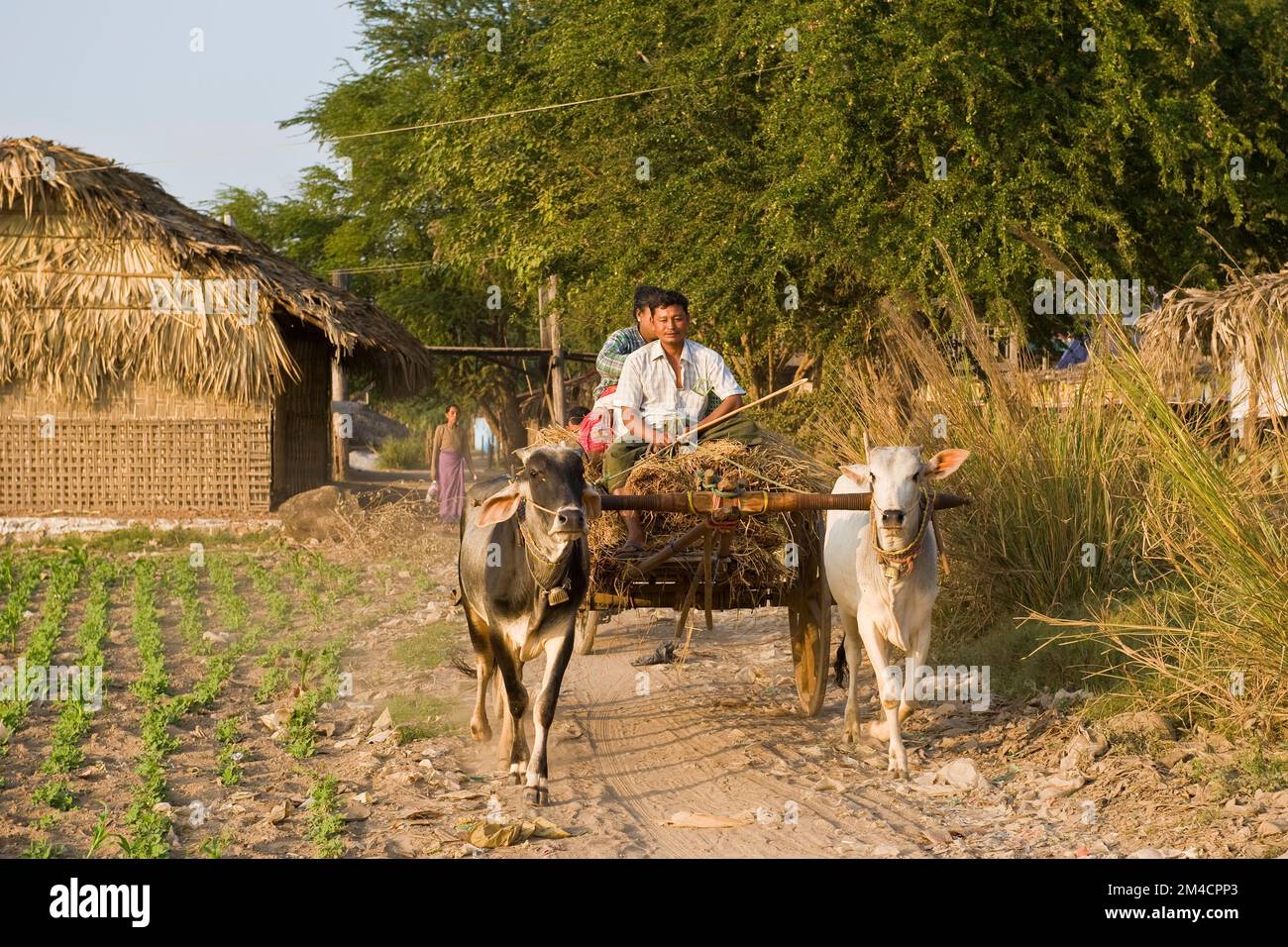 Myanmar, Amarapura, daily life Stock Photo - Alamy