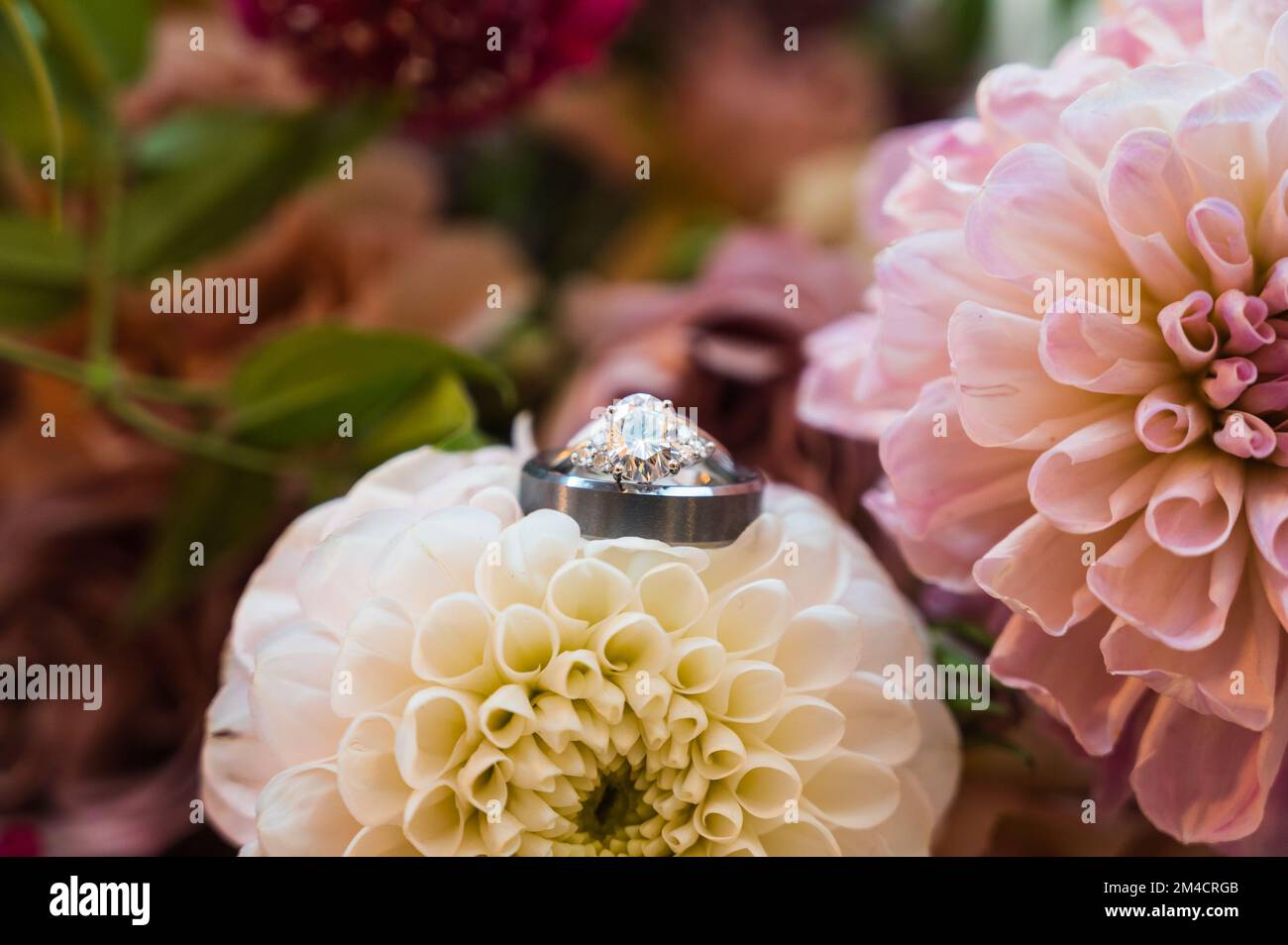 closeup detail of wedding flowers and engagement rings Stock Photo - Alamy