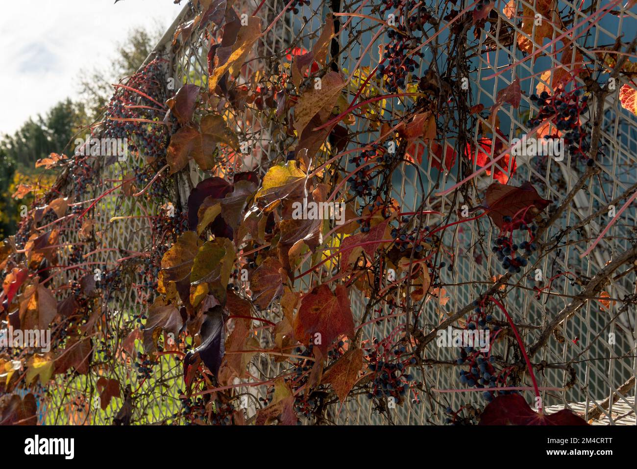 Close-up of the Doctoral School building, at the University of the ...