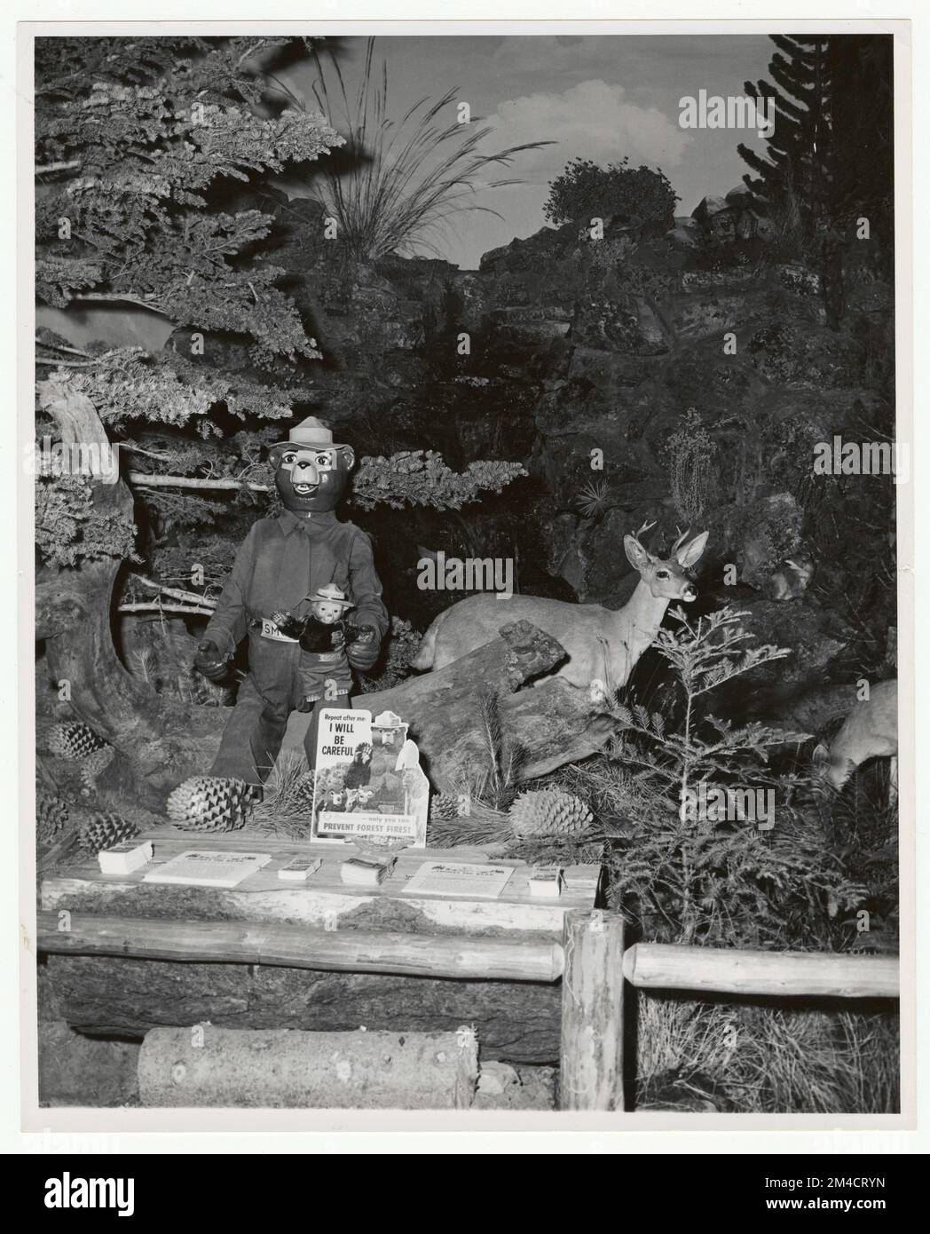 CFFP Program Posters - All States. Photographs Relating to National ...